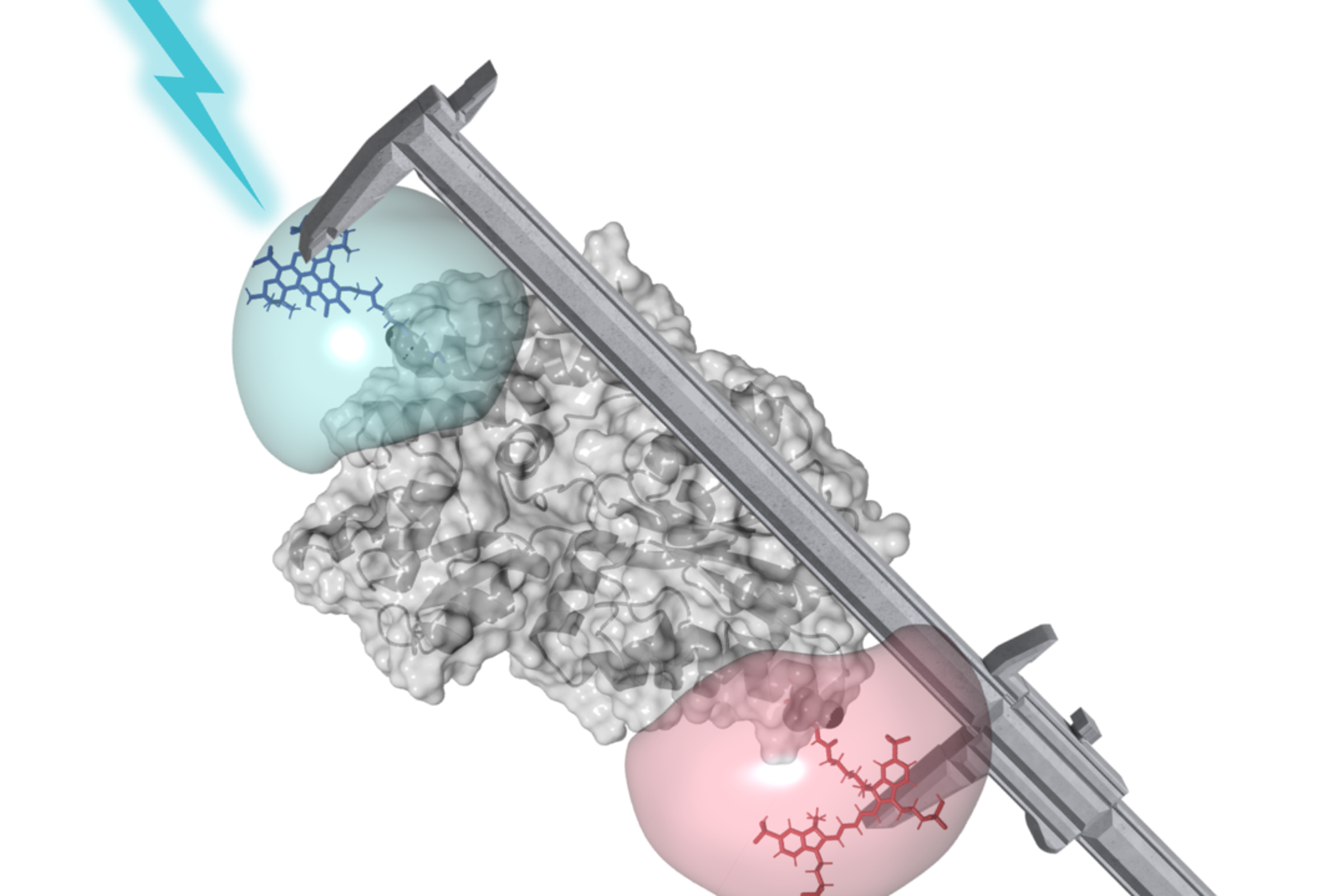 Faculty for Chemistry and Pharmacy- Biomolecules: Trying nanometer ...