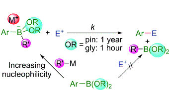Fine-Tuning of the Nucleophilic Reactivities of Boron-Ate Complexes ...